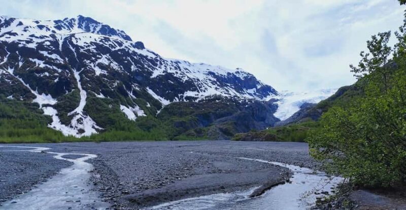 Seward: Exit Glacier Nature Hike with Scenic Views - The Experience: What Visitors Are Saying