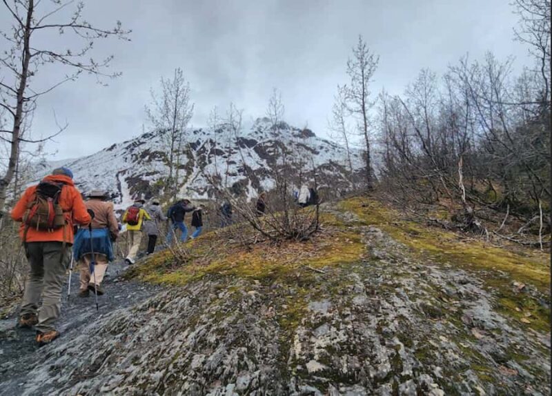 Seward: Guided Marmot Meadows Hike with Lunch - Key Points
