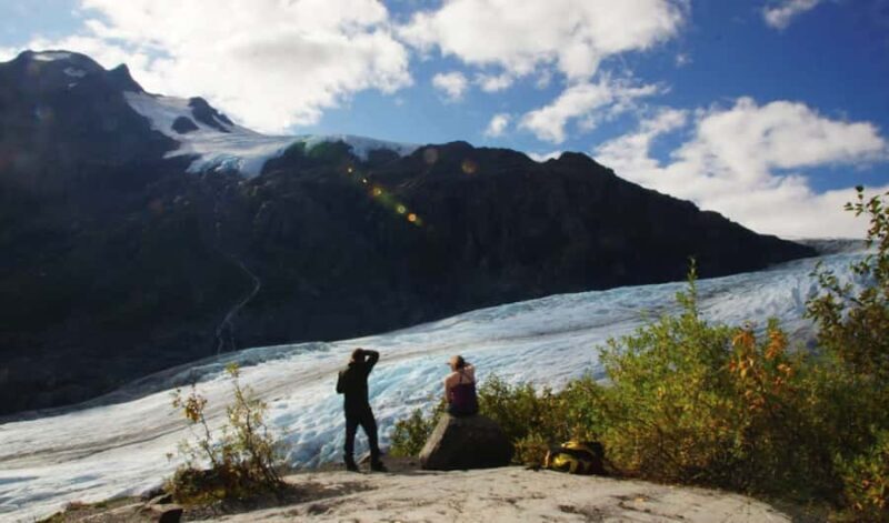 Seward: Guided Marmot Meadows Hike with Lunch - The Trail and Its Highlights