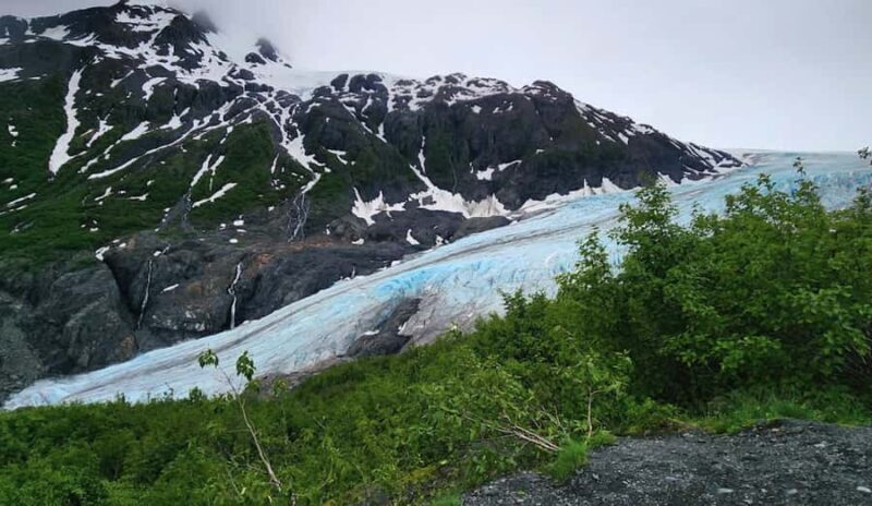 Seward: Guided Marmot Meadows Hike with Lunch - What the Reviews Say