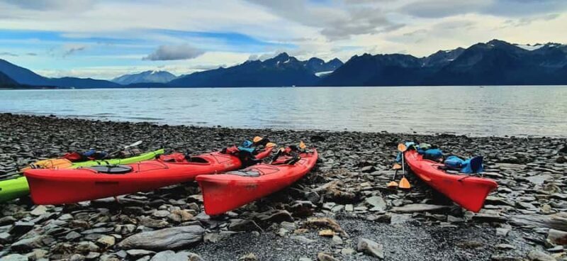Seward: Kayak to Bridal Veil Falls with Lunch - Who Is This Tour Best For?