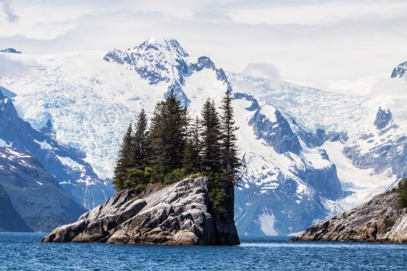 Seward: Kenai Fjords National Park Catamaran Cruise w/Lunch - Key Points