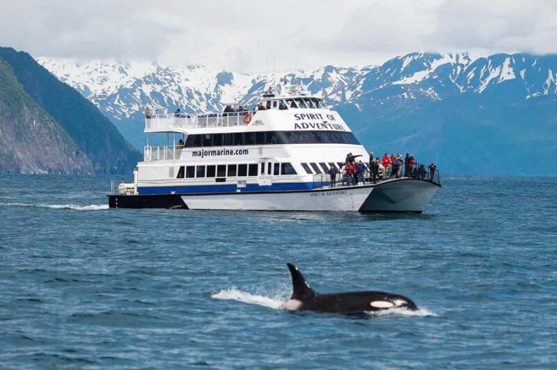 Seward: Kenai Fjords National Park Extended Glacier Cruise - Key Points