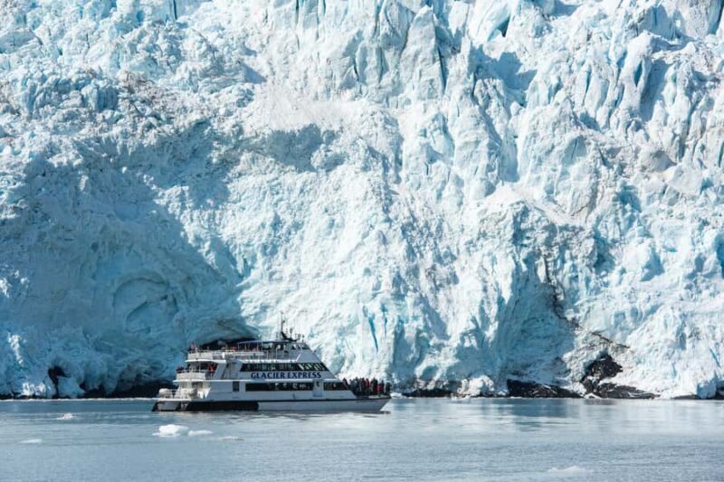 Seward: Kenai Fjords National Park Extended Glacier Cruise - An Overview of the Experience