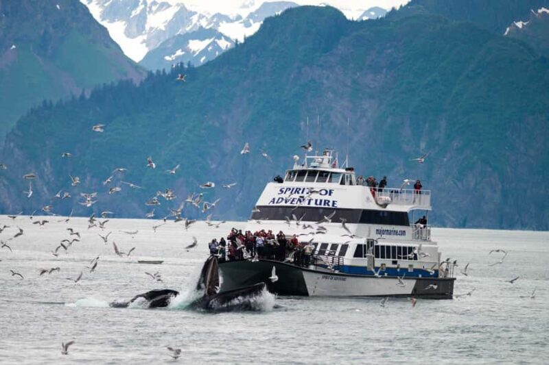 Seward: Kenai Fjords National Park Extended Glacier Cruise - Practicalities & Comfort