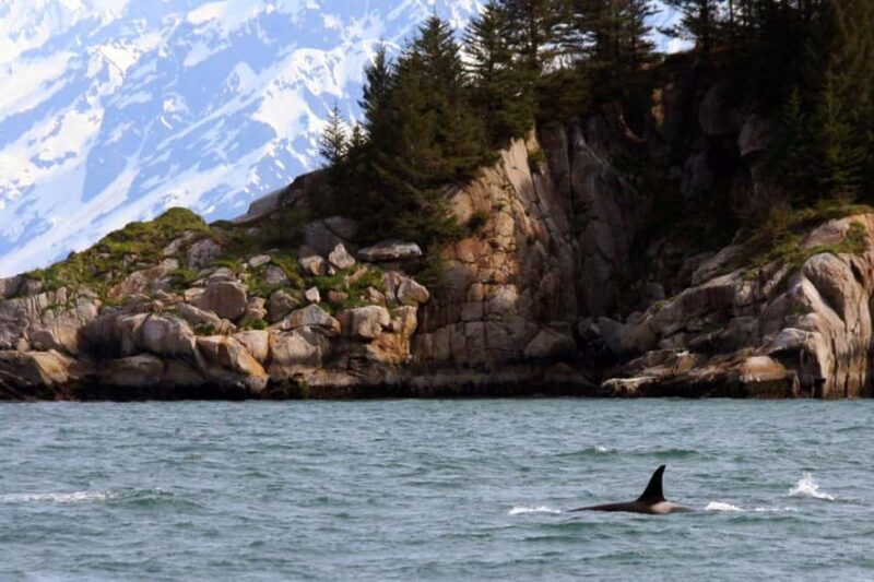 Seward: Kenai Fjords National Park Glacier & Wildlife Cruise - The Sum Up: Who Is This Tour Best For?