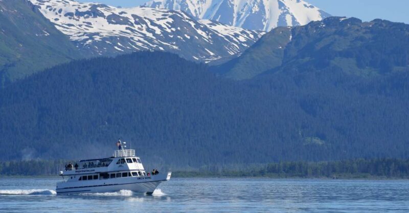 Seward: Resurrection Bay Orca Quest Cruise - FAQ