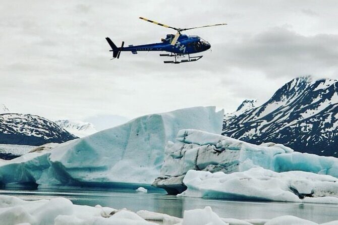 Seward Scenic 30 min Flight - An Authentic Look at the Seward Scenic 30-Minute Flight