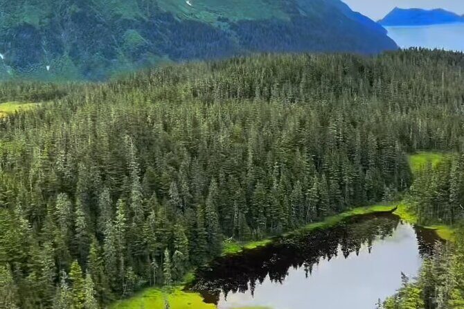 Seward Scenic 30 min Flight - Key Points