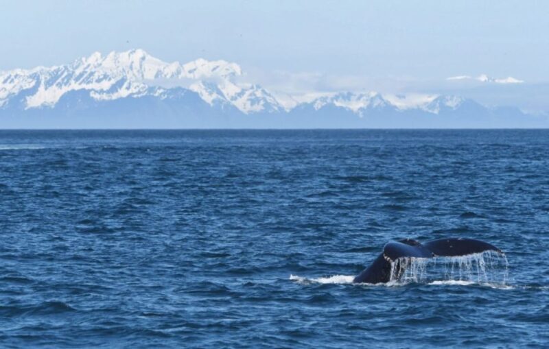 Seward: Spring Wildlife Guided Cruise - The Guides and Crew