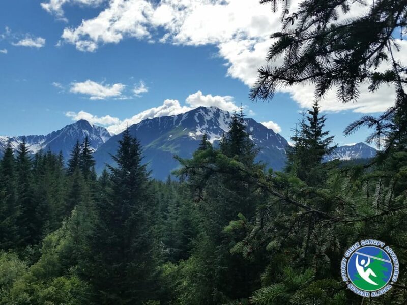 Seward: Stoney Creek Canopy Tour with Zipline - Key Points