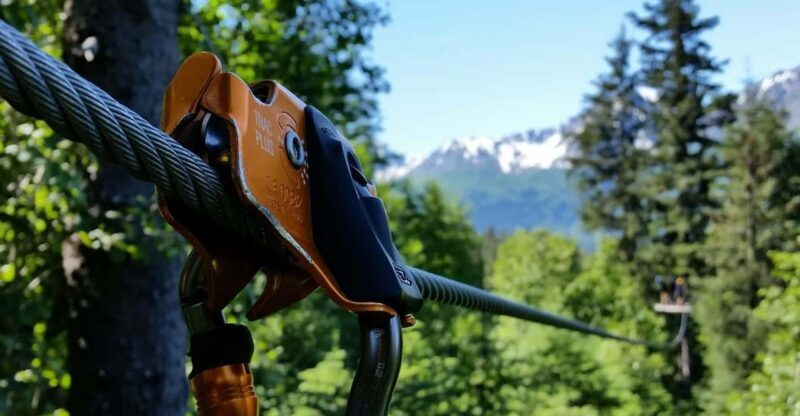 Seward: Stoney Creek Canopy Tour with Zipline - A Closer Look at the Canopy Experience