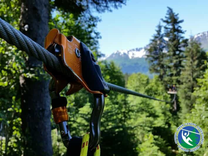 Seward: Stoney Creek Canopy Tour with Zipline - The Full Itinerary Breakdown