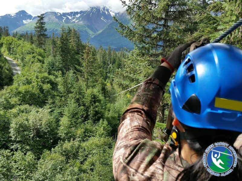Seward: Stoney Creek Canopy Tour with Zipline - The Sum Up
