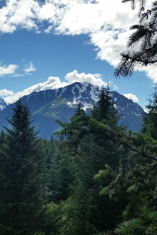Seward: Stoney Creek Canopy Tour with Zipline - FAQ