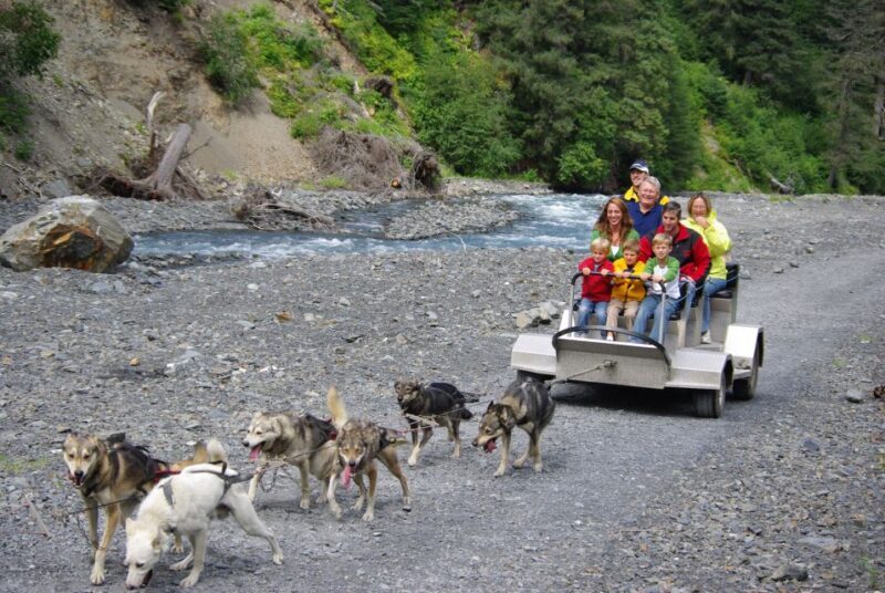 Seward: Summer Dog Sled Ride and Seavey Estate Tour - An In-Depth Look at the Experience