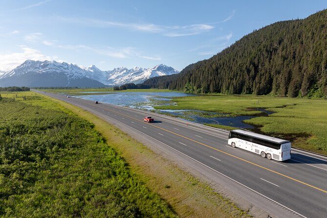 Seward to Anchorage Direct Transfer Tour - An In-Depth Look at the Seward to Anchorage Transfer