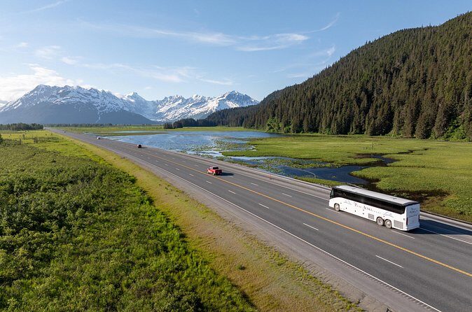 Seward to Anchorage Direct Transfer Tour - Final Thoughts: Who Should Book This Tour?