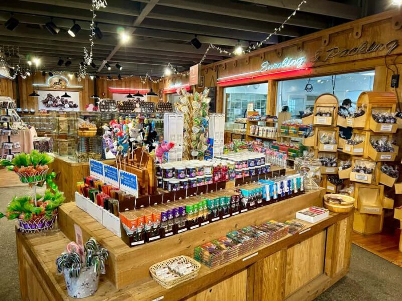 Seward: To Anchorage Full Day Transit Tour with Port Pickup - The Sum Up