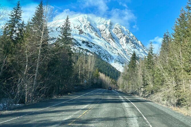 Seward to Anchorage Full Day Transit Tour with Port Pickup - Indulge in sweet delights at Alaska Wild Berry Products
