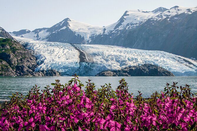 Seward to Anchorage- Post Cruise Curated Wildlife Tour +Transfer - The Experience: What Travelers Really Think