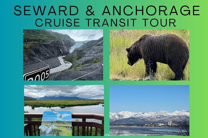 Seward to Anchorage transfer with National Park hike and AWCC - A Detailed Breakdown of the Itinerary