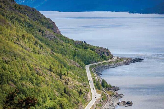 Seward to Anchorage Wildlife Adventure - An In-Depth Look at the Seward to Anchorage Wildlife Adventure