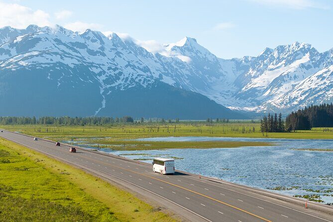 Seward to Anchorage Wildlife Adventure - Final Thoughts