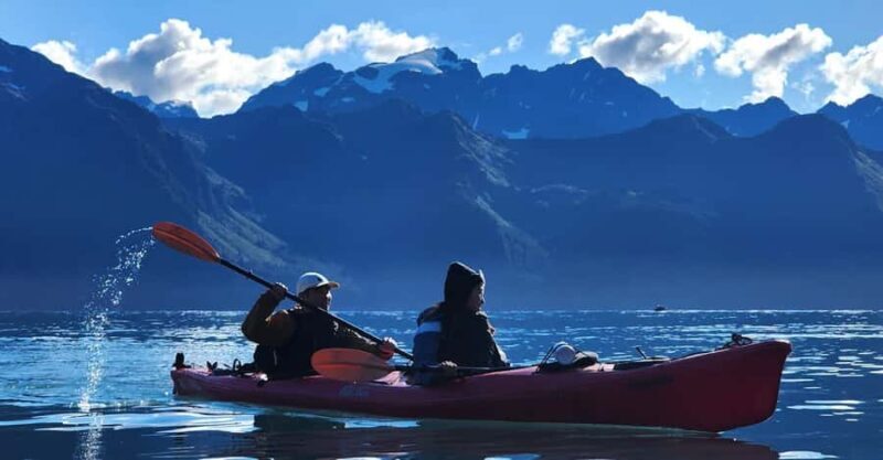 Seward: Tonsina Point Kayak & Exit Glacier Nature Hike - Practical Details & Tips