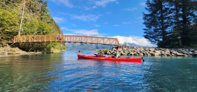 Seward: Tonsina Point Sea Kayaking Trip with Hotel Pickup - Key Points