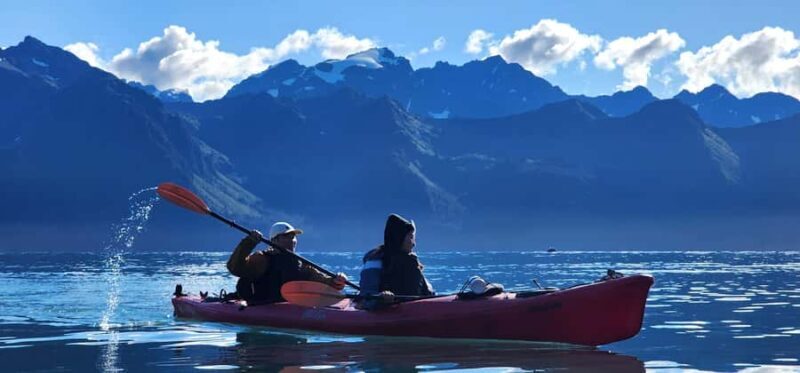 Seward: Tonsina Point Sea Kayaking Trip with Hotel Pickup - A Detailed Look at the Sea Kayaking Adventure