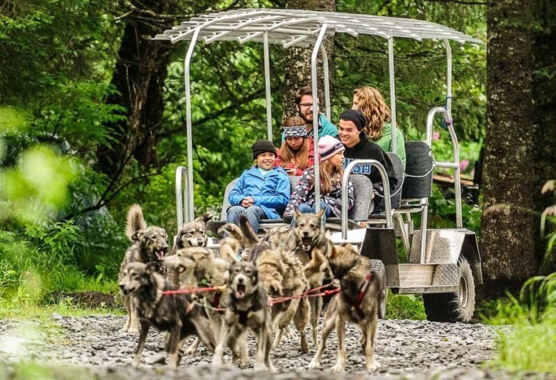 Seward: Turning Heads Kennel Tour & Dog Sled Ride - What Makes This Tour Special?