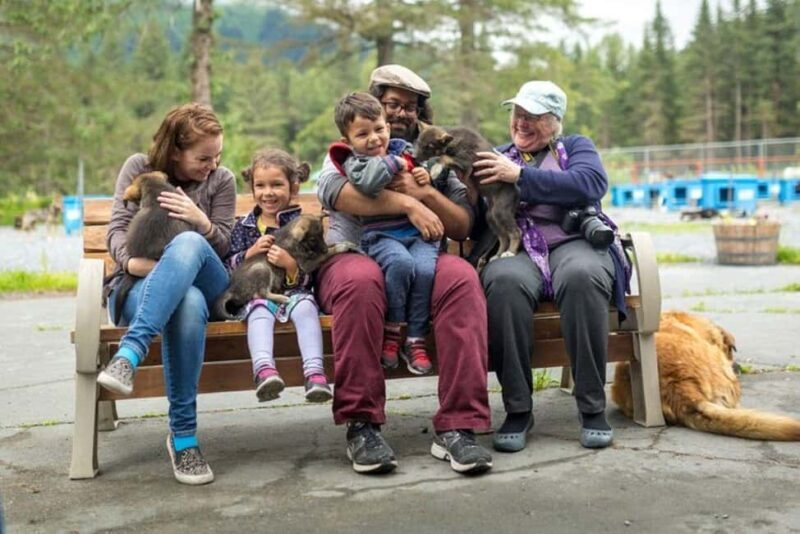 Seward: Turning Heads Kennel Tour & Dog Sled Ride - Practical Tips for Participants