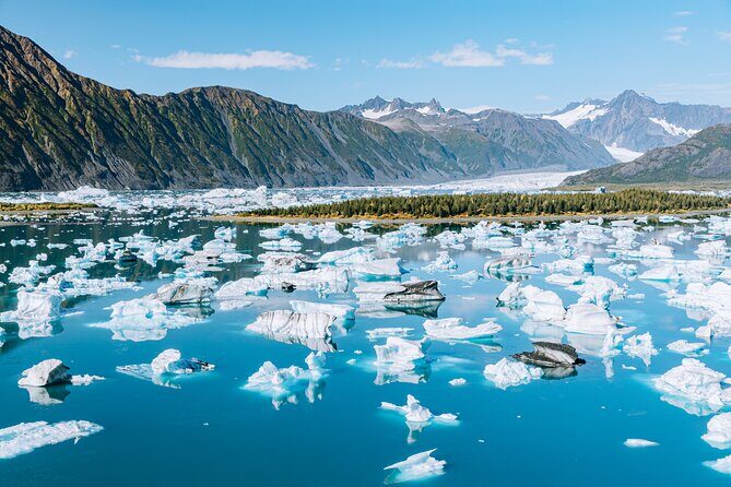 Seward Wildlife Explorer 60 minute Heli Flightseeing - A View from the Sky: Our Take on the Seward Wildlife Explorer Helicopter Tour