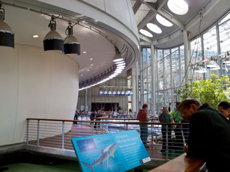 SF: CA Academy of Sciences & Hop-on Hop-off Tour (Save 15%) - A Deep Dive into the Tour Experience