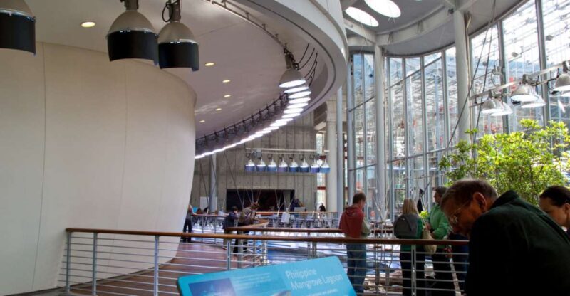 SF: CA Academy of Sciences & Hop-on Hop-off Tour (Save 15%) - Itinerary Breakdown: What Makes Each Stop Special