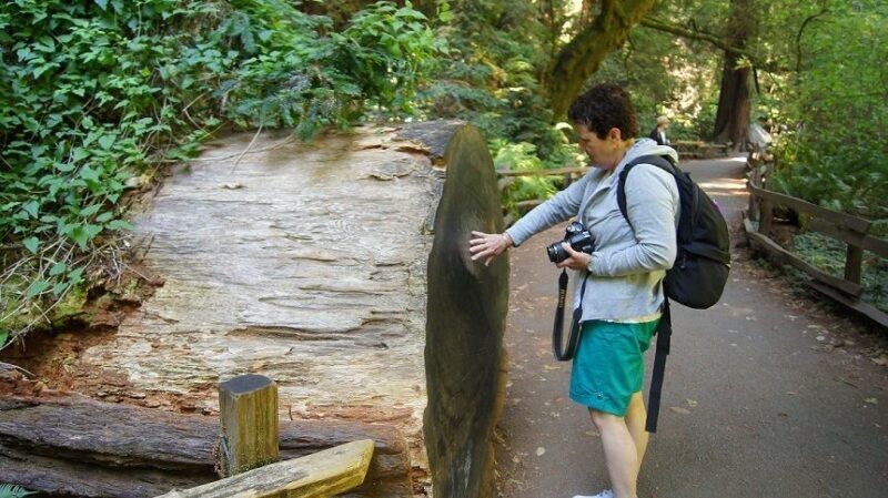 SF: Guided Muir Woods Tour & Hop-On Hop-Off Tour (Save 15%) - The Details That Matter