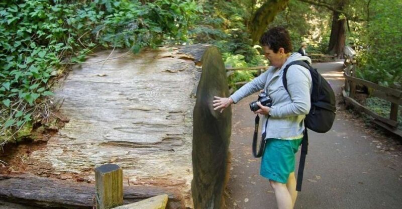 SF: Guided Muir Woods Tour & Hop-On Hop-Off Tour (Save 15%) - What We Love and What to Watch For