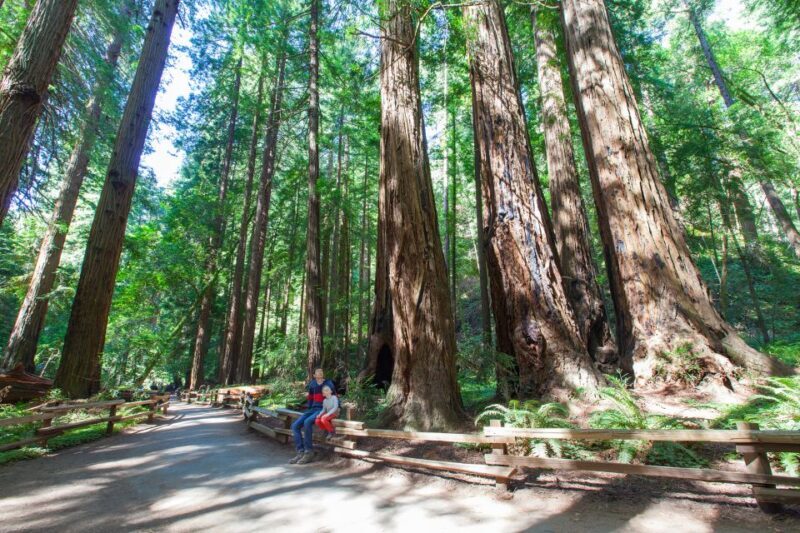 SF: Muir Woods, Sausalito, Golden Gate Bridge Private Tour - FAQ: Practical Questions Answered