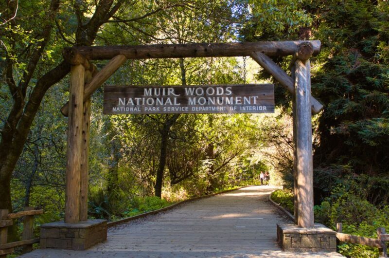 SF: Muir Woods, Sausalito, Golden Gate Bridge Private Tour - Exploring the San Francisco Area with a Private Tour
