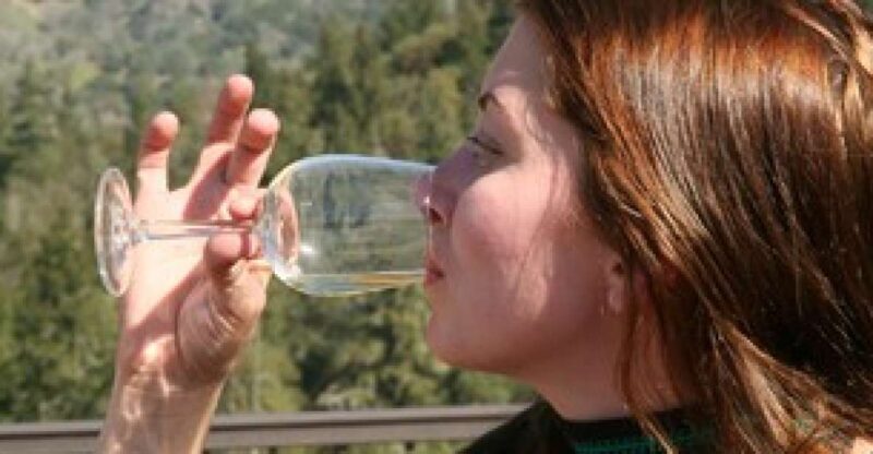 SF: Napa & Sonoma Wine Tour & Hop-on Hop-off Tour (Save 15%) - The Nightlife and Neighborhoods