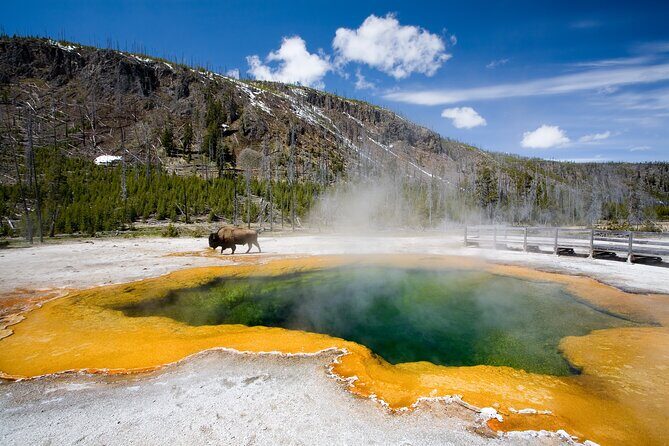 SF to Yellowstone,Grand Teton,Antelope Canyon&Vegas 7-Day Tour - Frequently Asked Questions