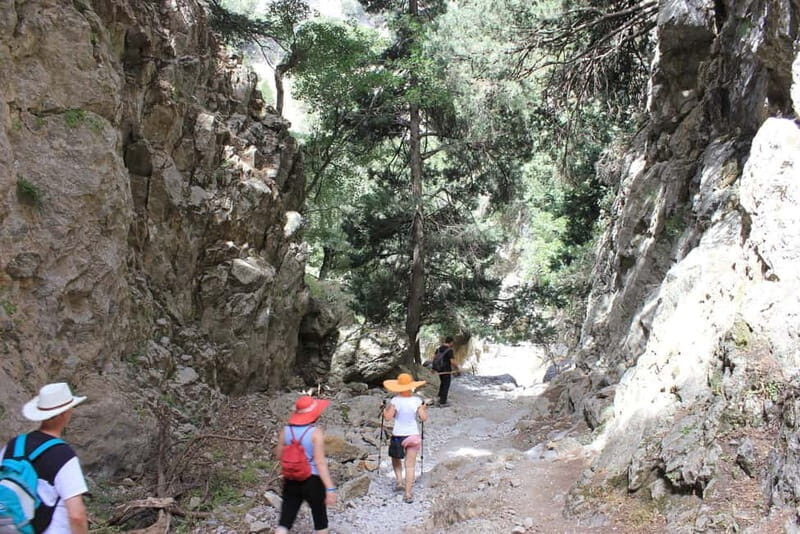 Sfakia Private Escape: Imbros Gorge, History & Hidden Beach - Discovering Sfakia’s Hidden WWII Stories