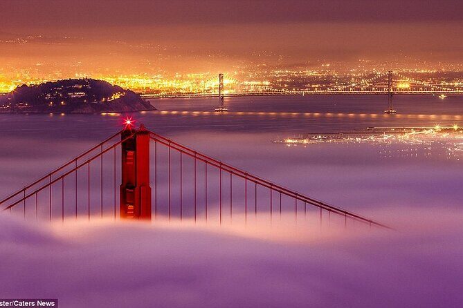 SFO Pick-Up with City Sightseeing Tour - Who Will Love This Experience?