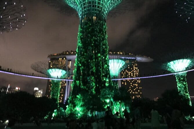 SG Evening/Nite -River Cruise, Marina Bay Light Show, Chinatown - Who Should Consider This Tour?