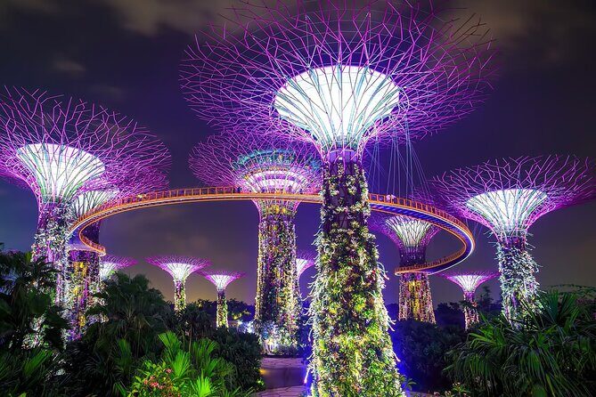 SG Gardens by the Bay Tickets & Transfer ( TRIPLE COMBO ) - What Travelers Say