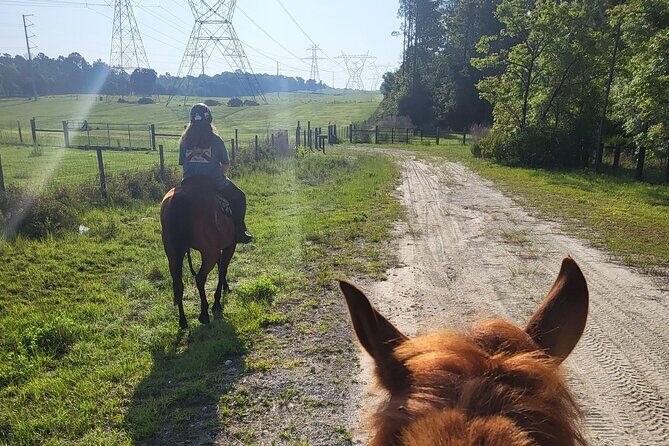Shaded Trails Horse Ride - FAQ