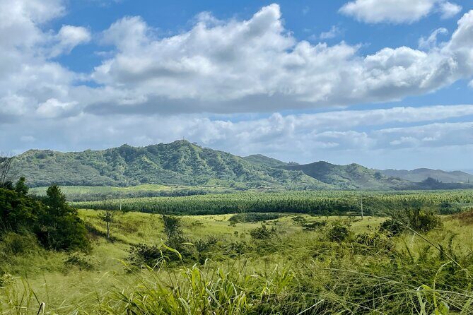 Shaka Zipline: 5 Line Zipline Tour (60 - 260 lbs) - Authentic Experiences from Guest Reviews