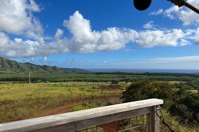 Shaka Zipline: 8 Line Zipline Tour (80 - 260 lbs) - The Experience Breakdown