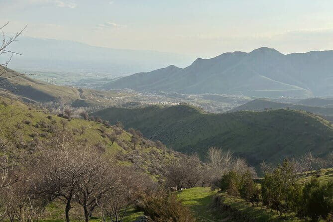 Shakhrisabz Private Day Tour from Samarkand - An In-Depth Look at the Tour Experience